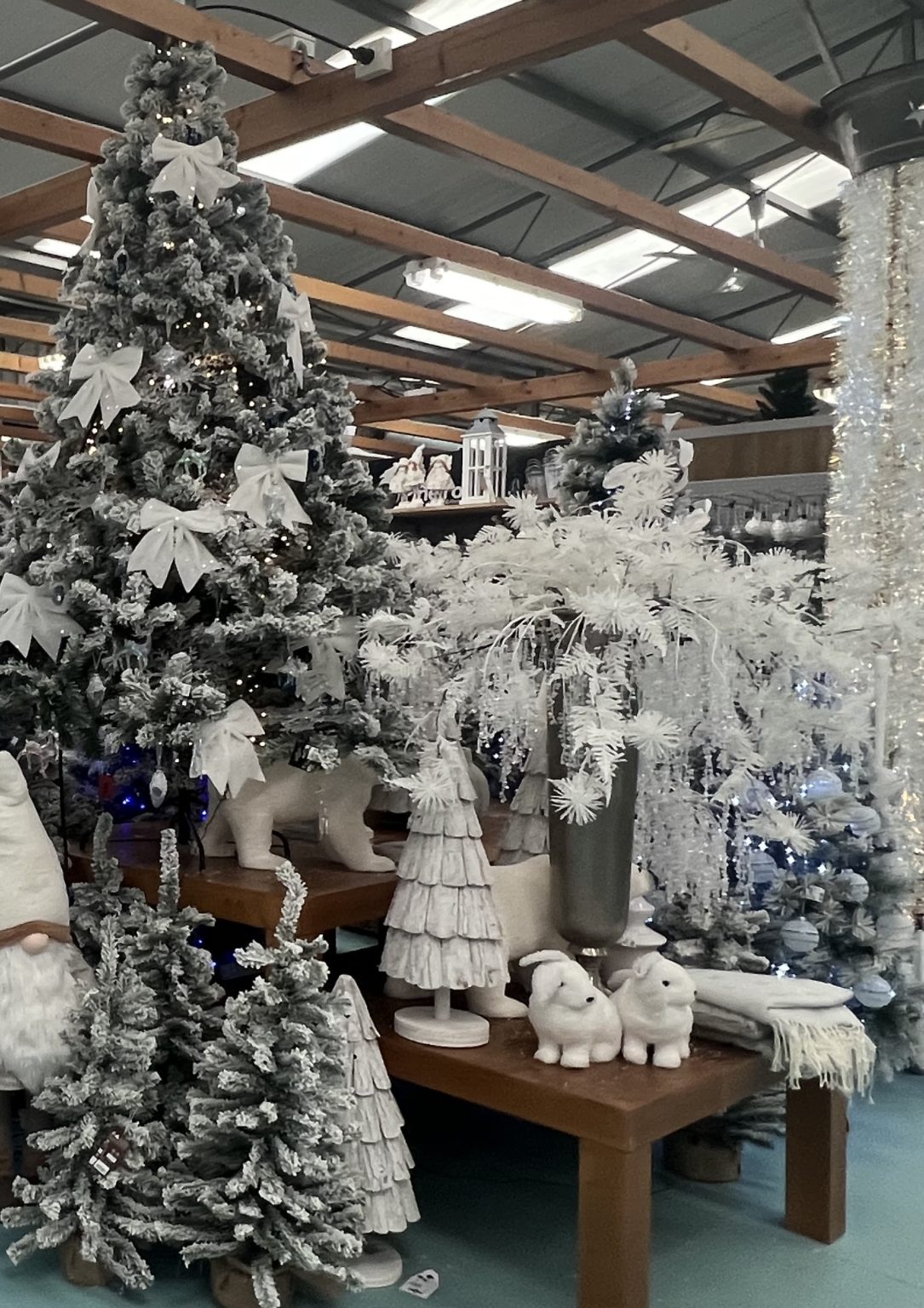 Frosty- Xmas